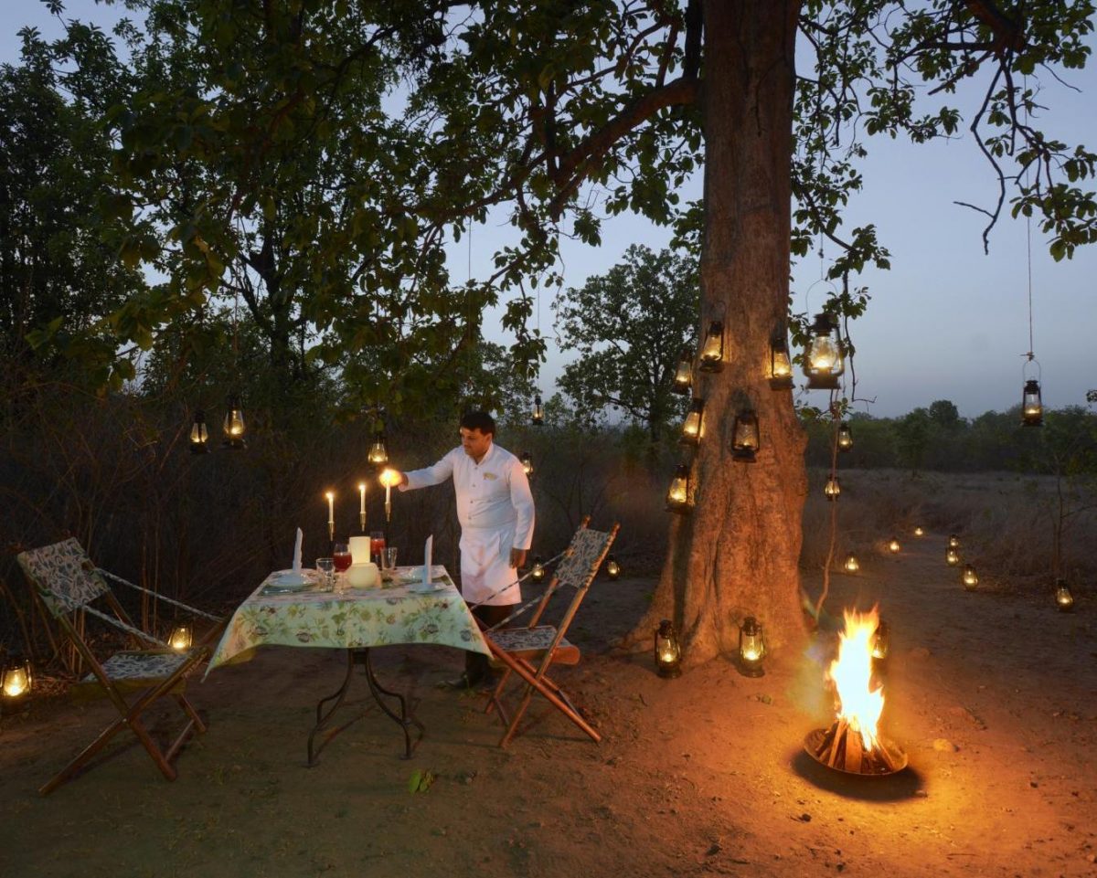 7 Best Resorts In Pench National Park - Book Now 15% Off